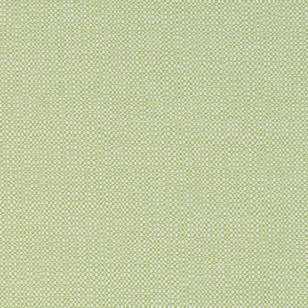 Giati Elements Medley | Walters